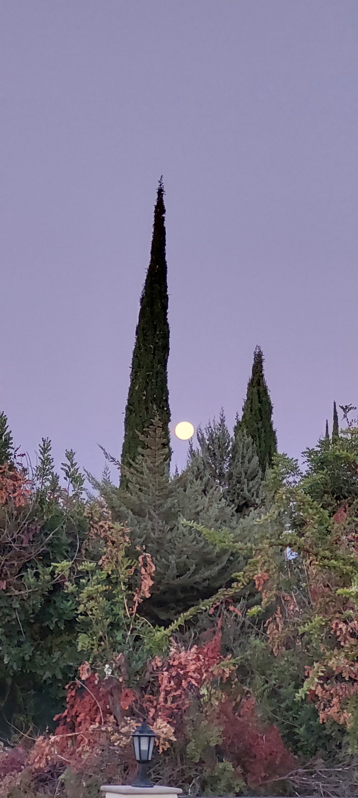 Σεληνη στον Σκορπιο - Anamnesia.cy | the blog